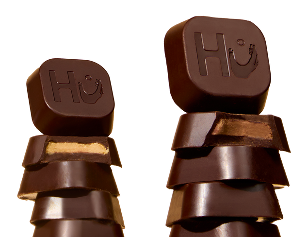 Dark Chocolate Bites – Hu Kitchen